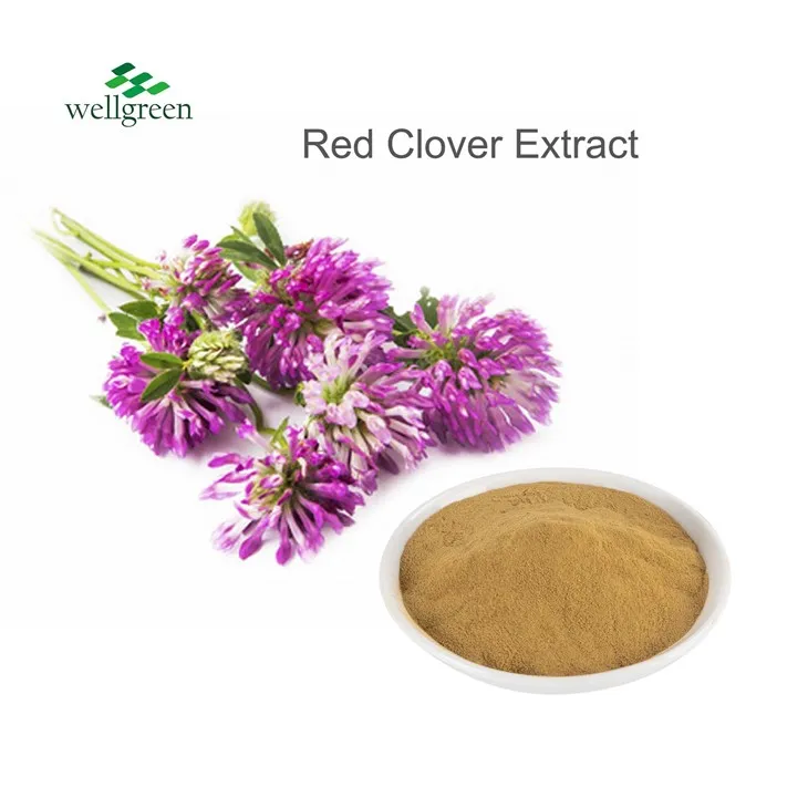 Natural Food Supplements Red Clover Extract - Red Clover Extract For ...